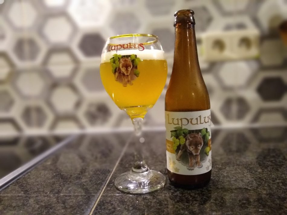 Découverte et dégustation de la Lupulus Triple - Jus de Houblon | blog ...